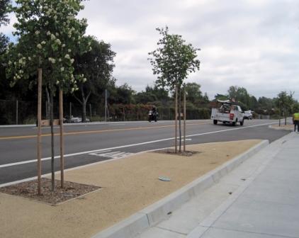 Santa Cruz County Redevelopment Agency - Community Improvements ...